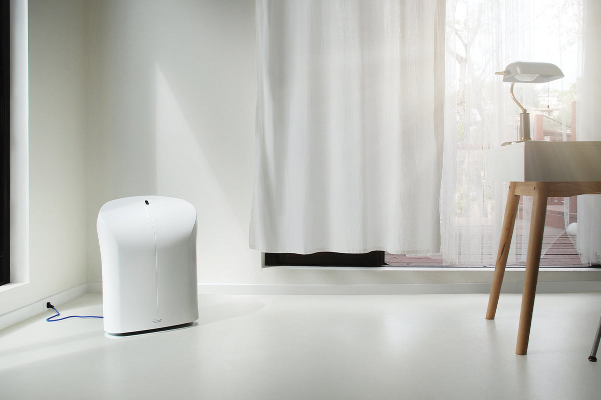 The Best Type of Air Purifier For Offices: Finding the Ideal Solution ...