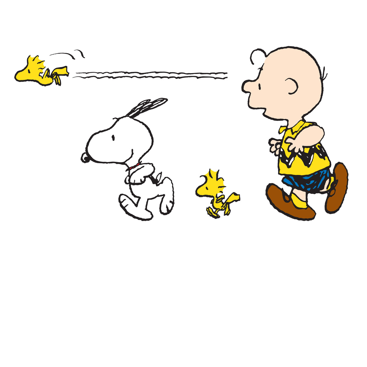 Exploring the World of Peanuts – Rabbit Air